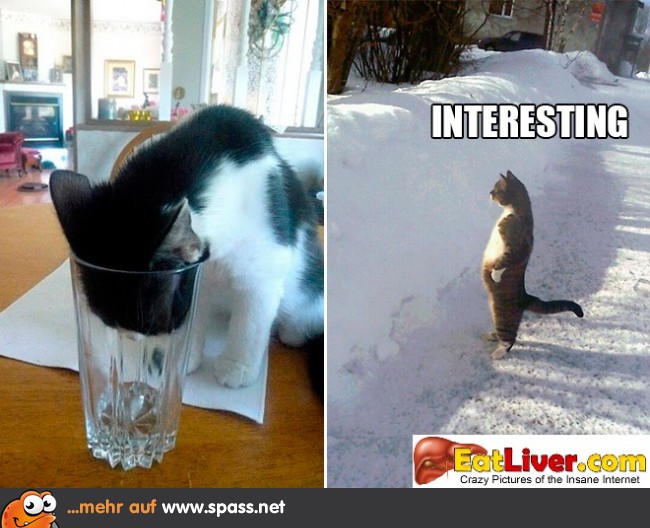 Sehr interessant ^^ | Lustige Bilder auf Spass.net