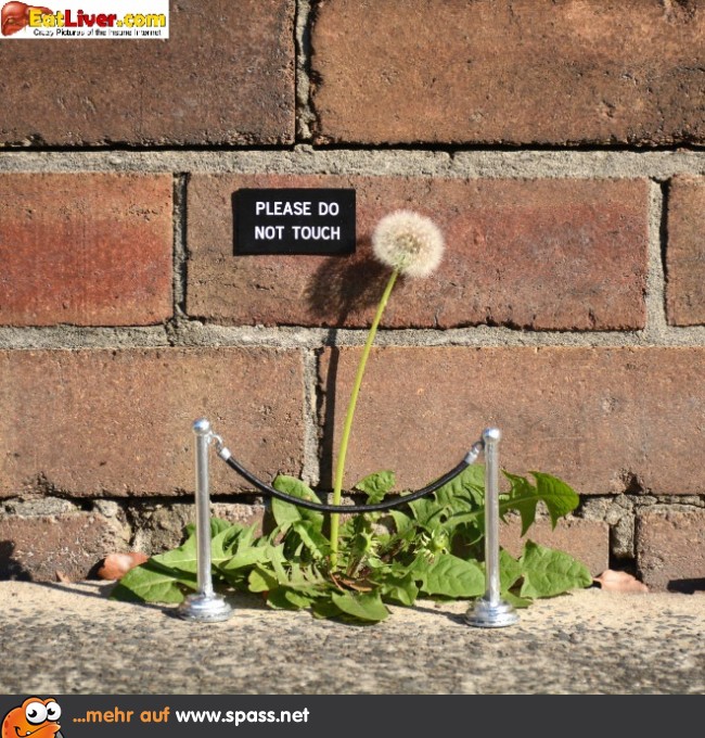Bitte nicht anfassen | Lustige Bilder auf Spass.net