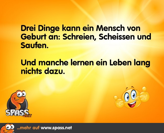 Nichts gelernt | Lustige Bilder auf Spass.net