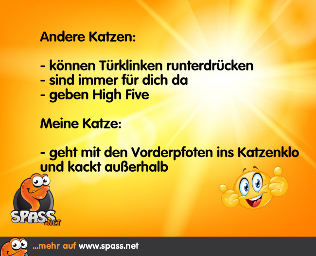 Doofe Katze | Lustige Bilder auf Spass.net