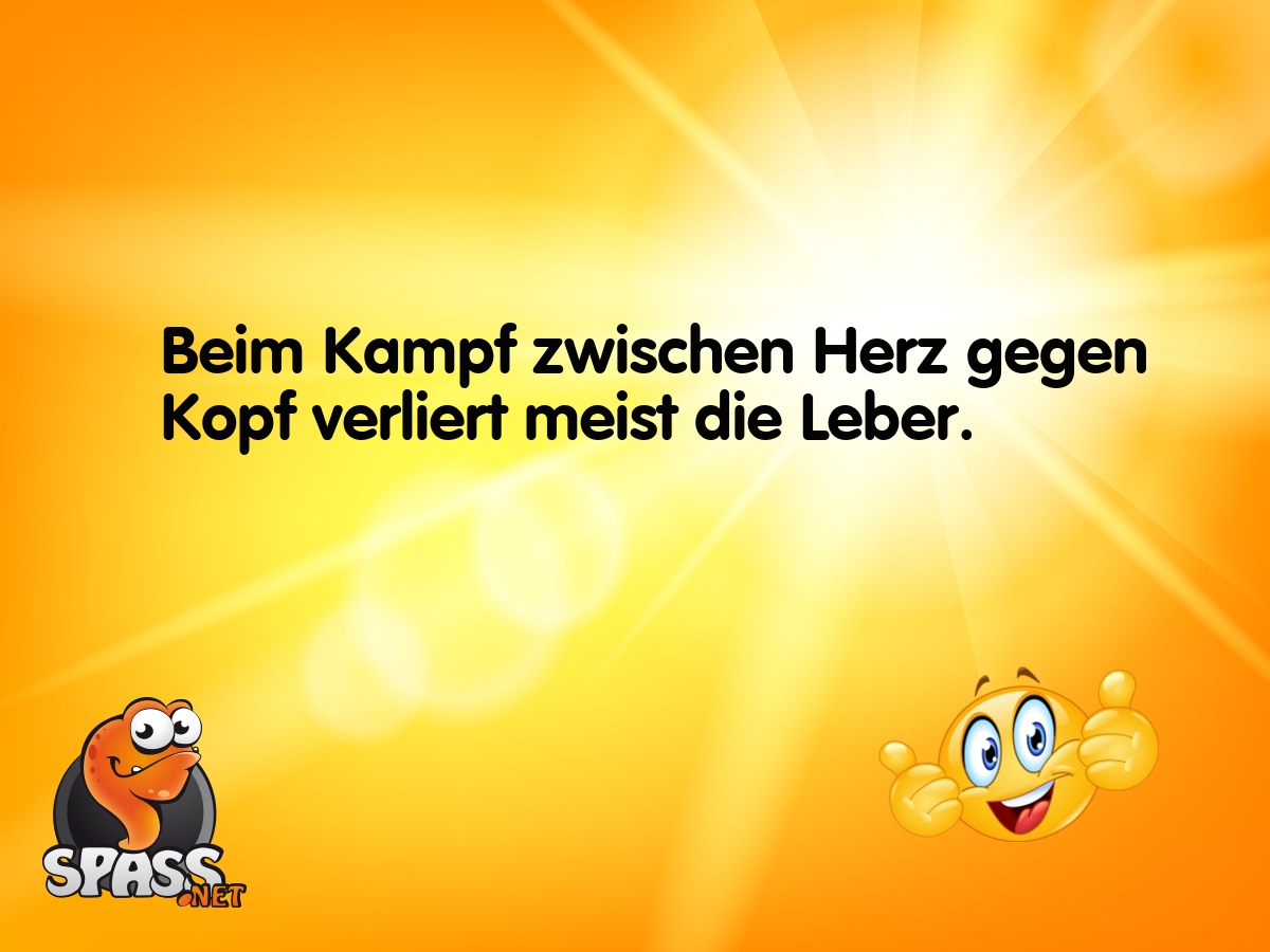 Klarer Verlierer | Lustige Bilder auf Spass.net